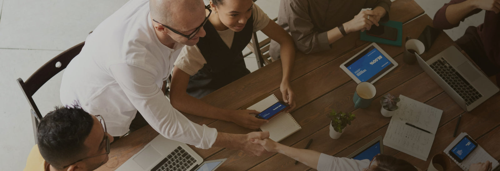 Distributors Program